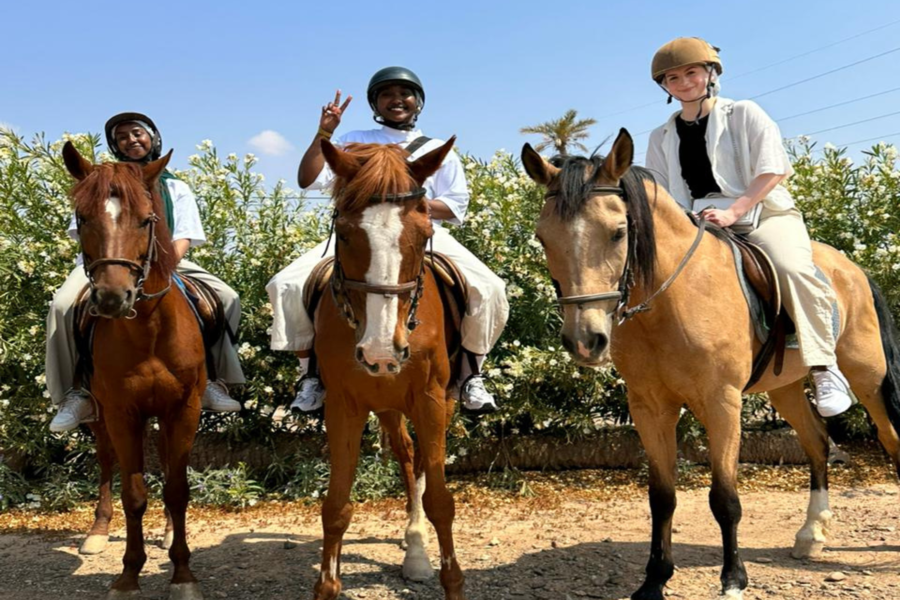 Royal Horse Ride In Marrakech - Click Excursions
